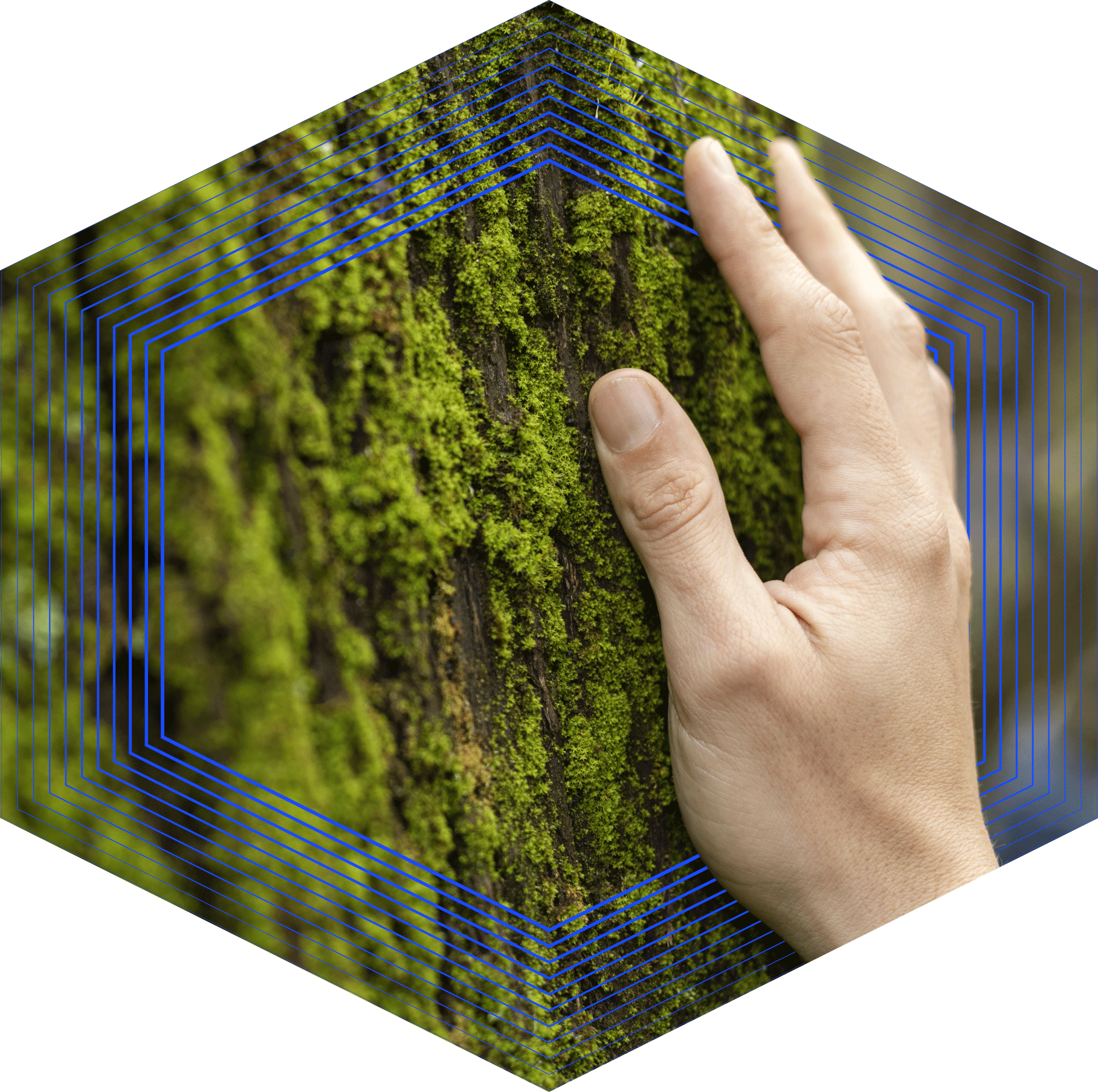 Sustainable IT Solutions for Environmentally Responsible Technology ...